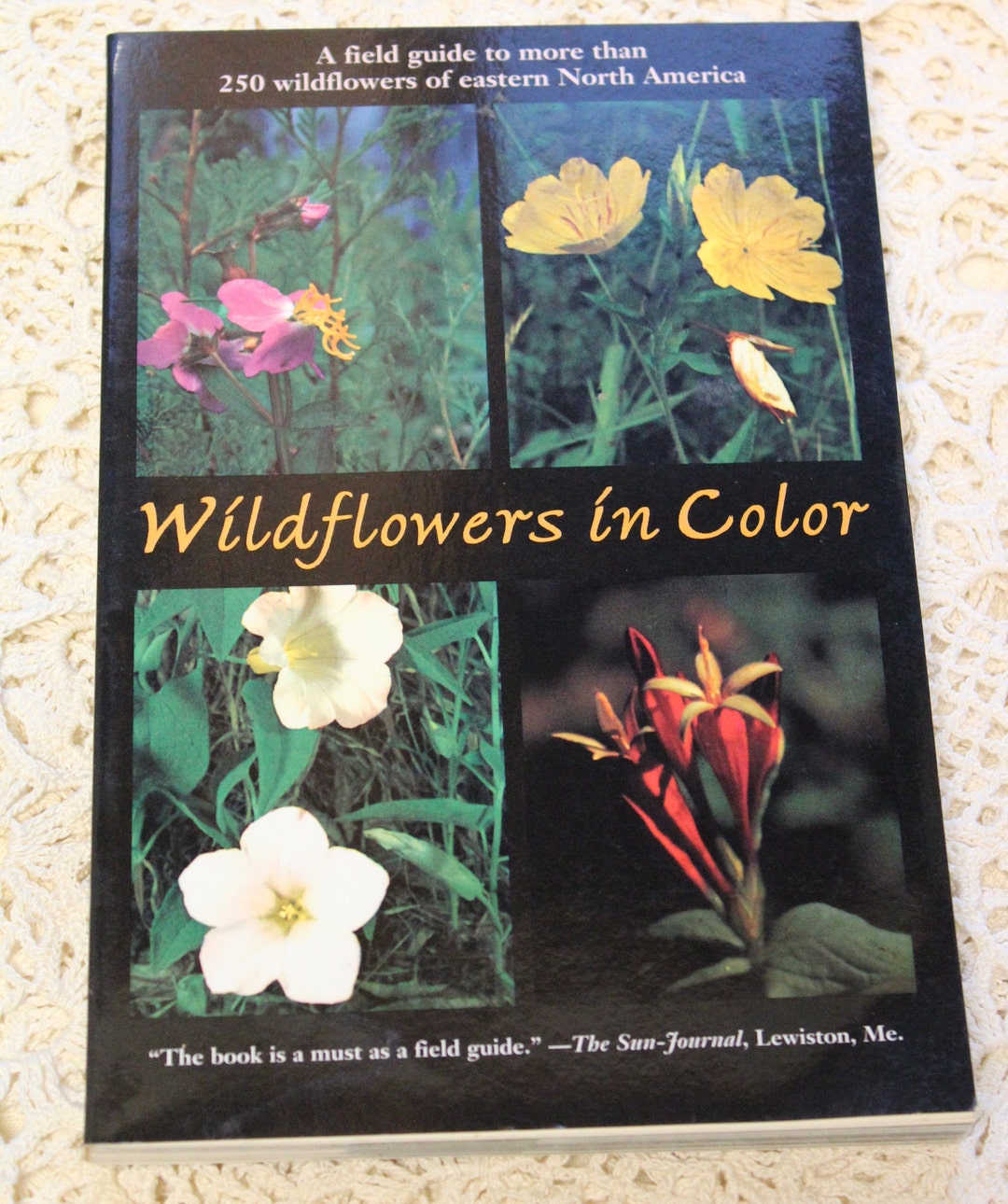 Wildflowers in Color / Field Guide 250 Wildflowers of Eastern North ...