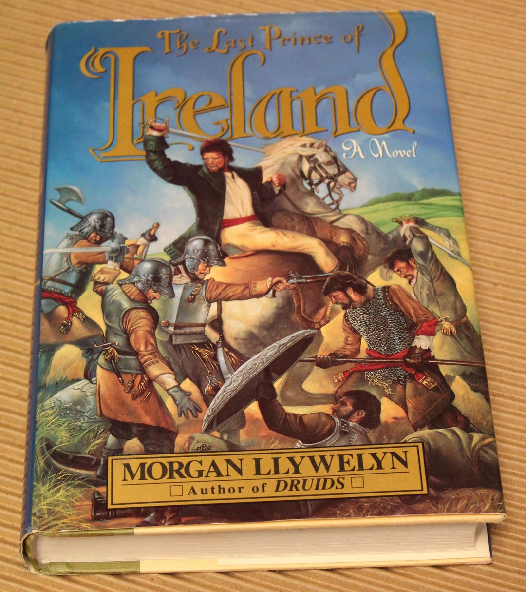 The Last Prince of Ireland / Morgan Llywelyn / 1992 Vintage Novel ...