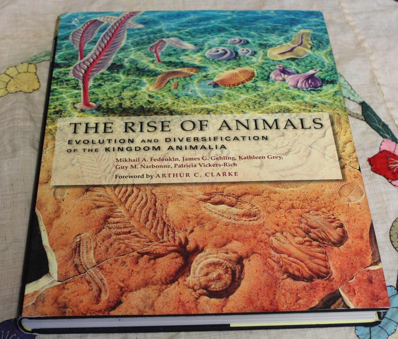 The Rise of Animals, Evolution, Diversification of Kingdom Animalia ...