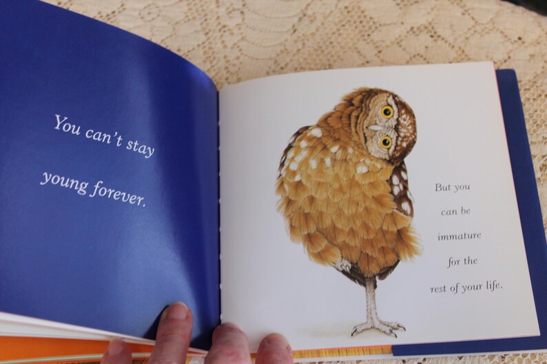 Furry Logic, Guide to Life's Little Challenges / Jane Seabrook / 2004 ...