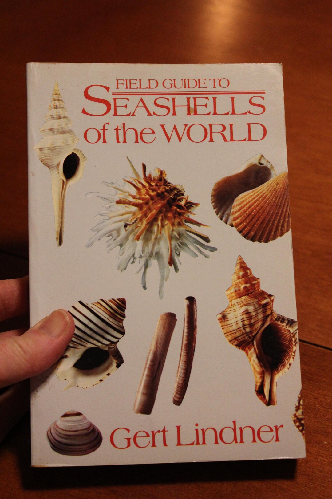 Seashells of the World, Field Guide / Gert Lindner / 1978 Softcover ...