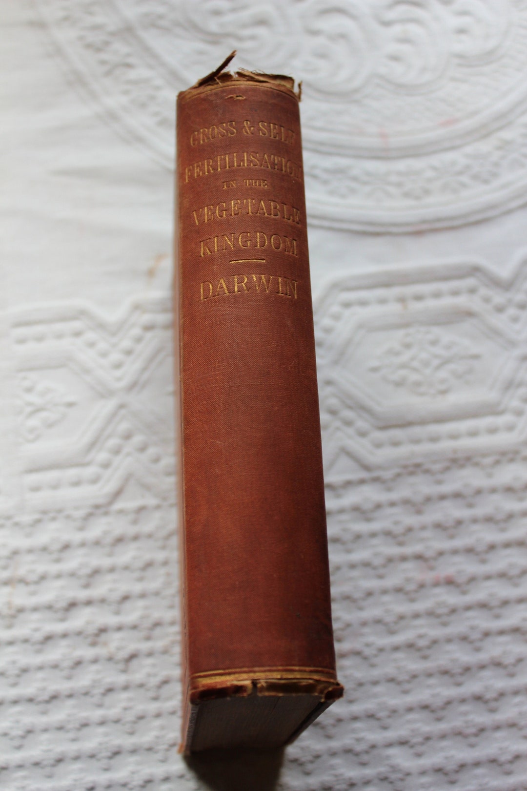 147 Yrs Old, Charles Darwin / the Effects of Self and Cross ...
