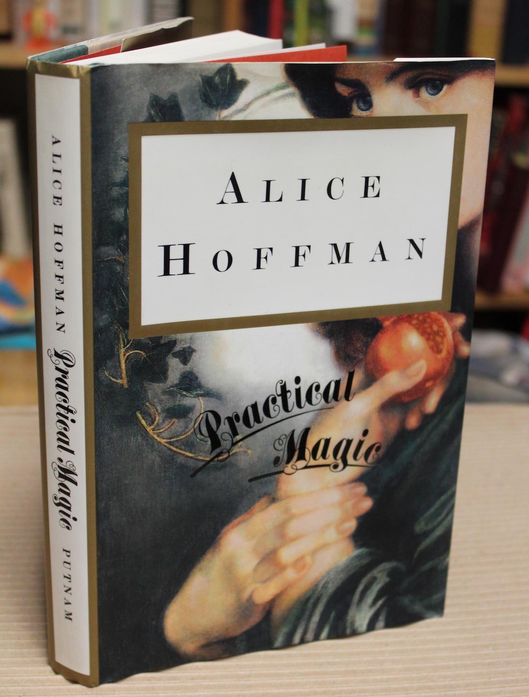 Alice Hoffman, Practical Magic / 1st Edition 1995 Hardcover / Magic ...