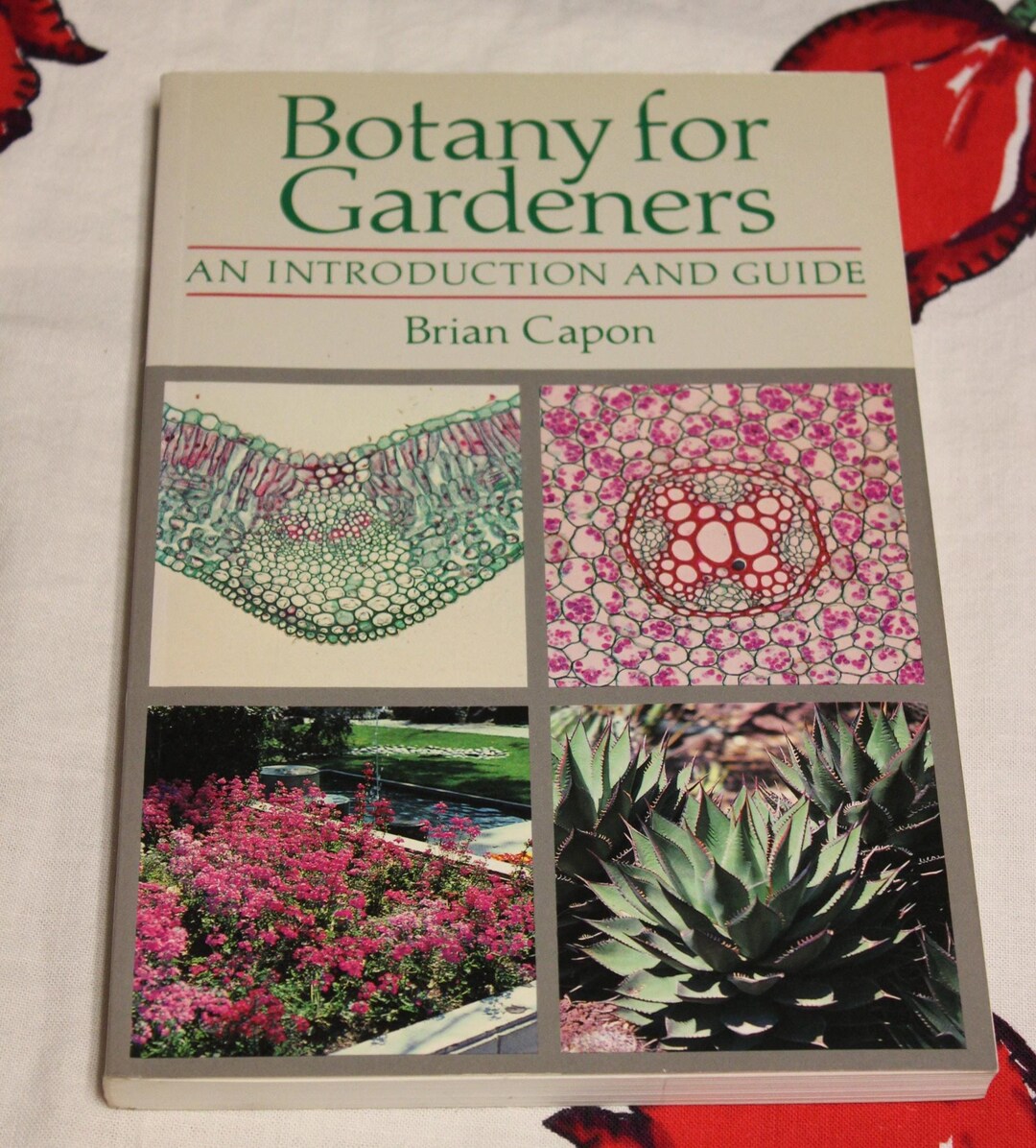 Botany for Gardeners, Intro and Guide / Brian Capon / 1990 Vintage ...