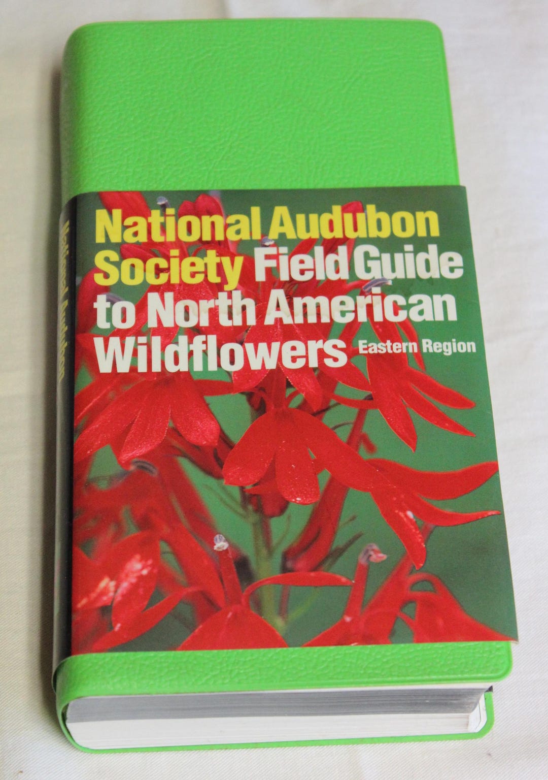 Field Guide to North American Wildflowers Eastern Region/ National ...