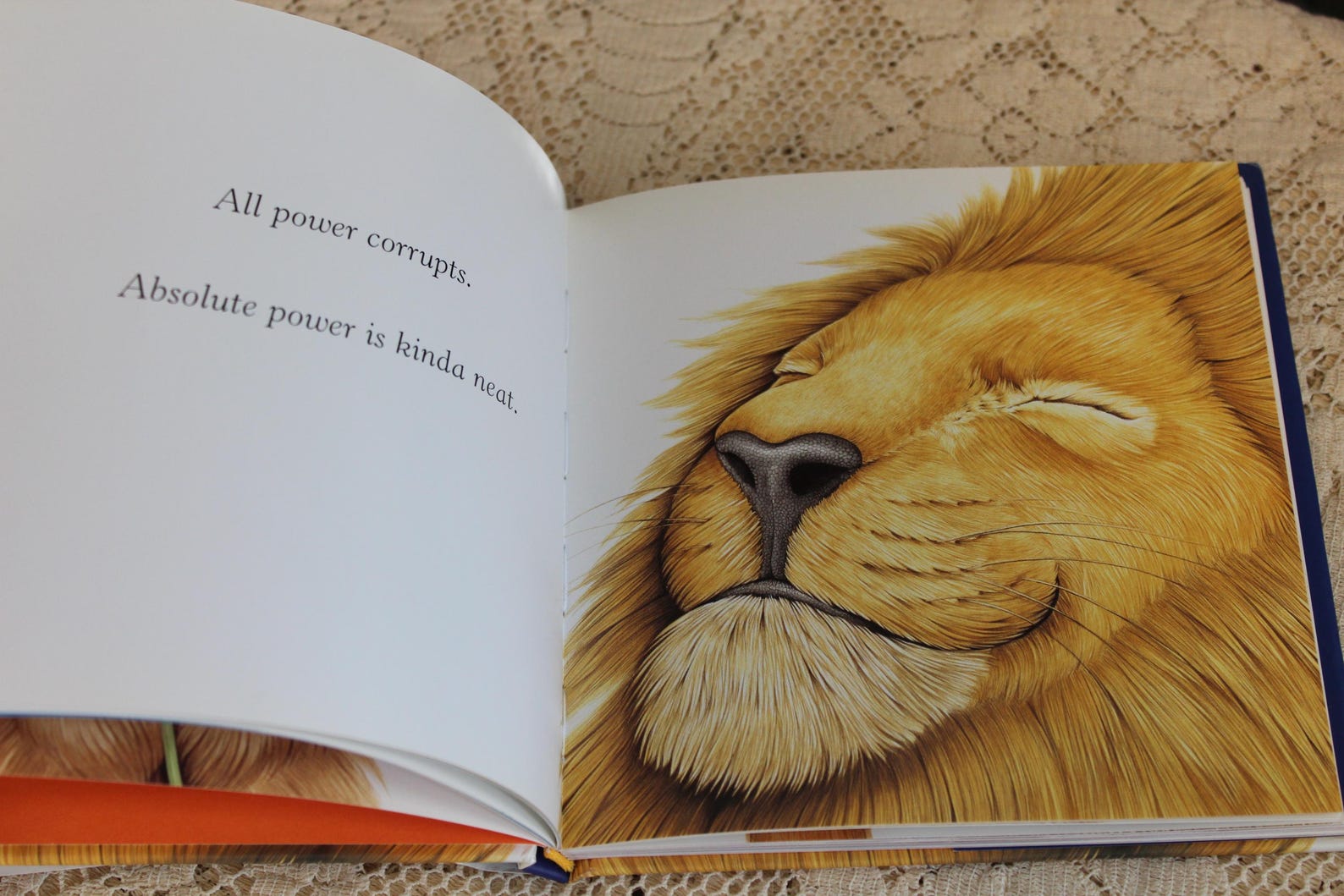 Furry Logic, Guide to Life's Little Challenges / Jane Seabrook / 2004 ...