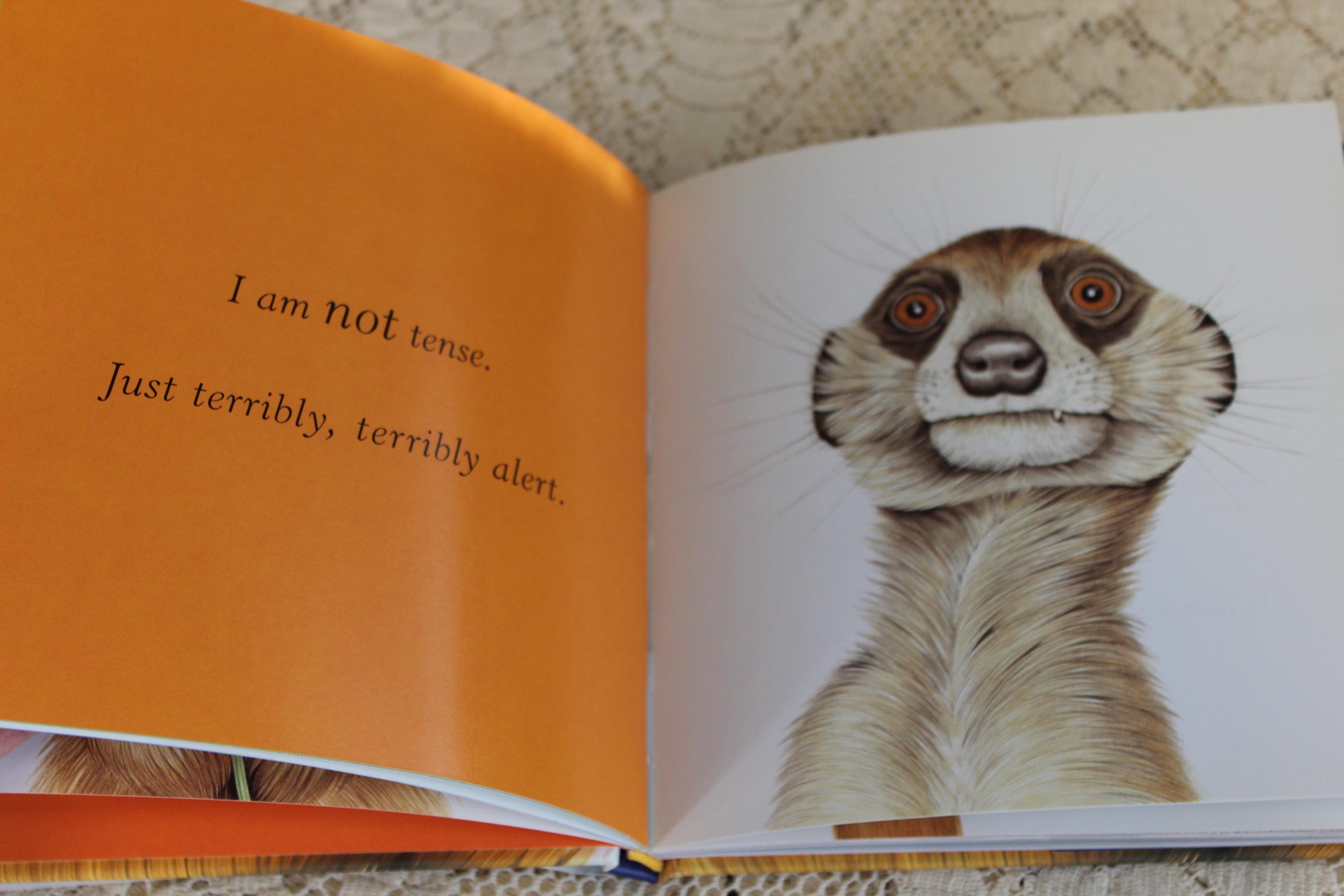 Furry Logic, Guide to Life's Little Challenges / Jane Seabrook / 2004 ...
