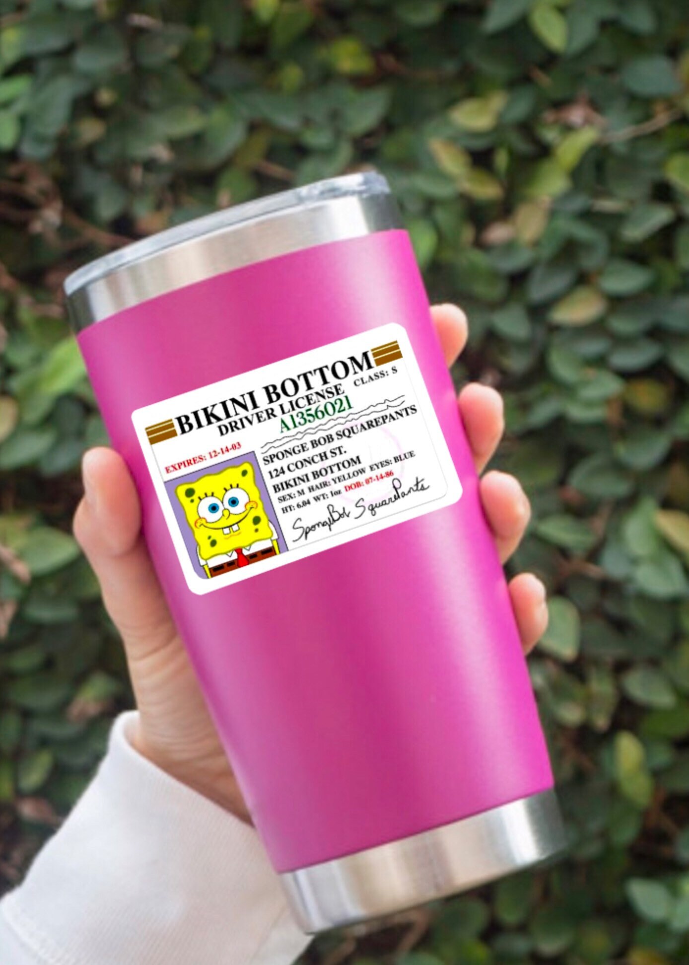 spongebob-drivers-license-sticker-pack-etsy