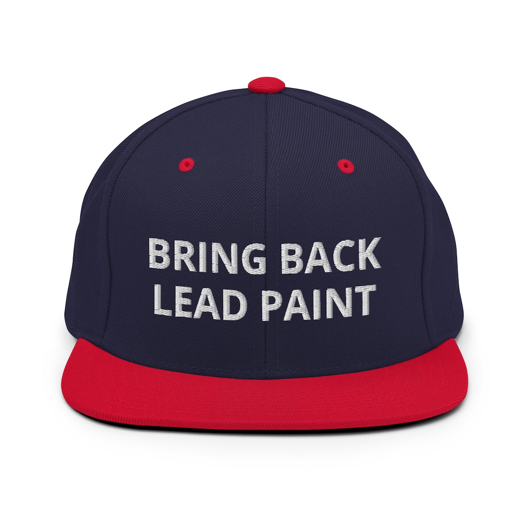 Bring Back Lead Paint Funny Embroidered Snapback Hat, Funny Meme Anti ...