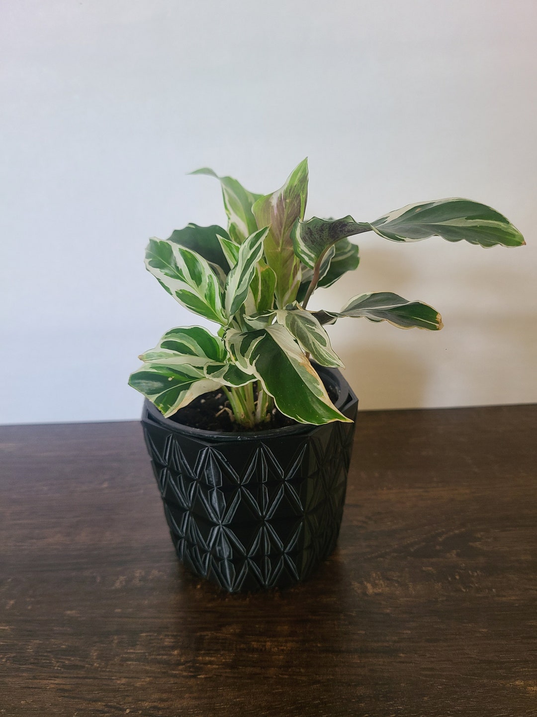 3D Printed Geometric Octagon Plant Pot - Etsy
