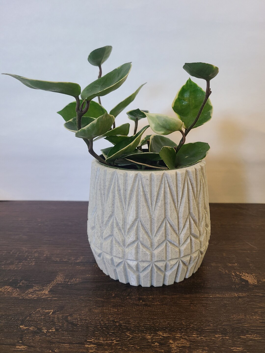 3D Printed Modern Geometric Shaped Plant Pot - Etsy