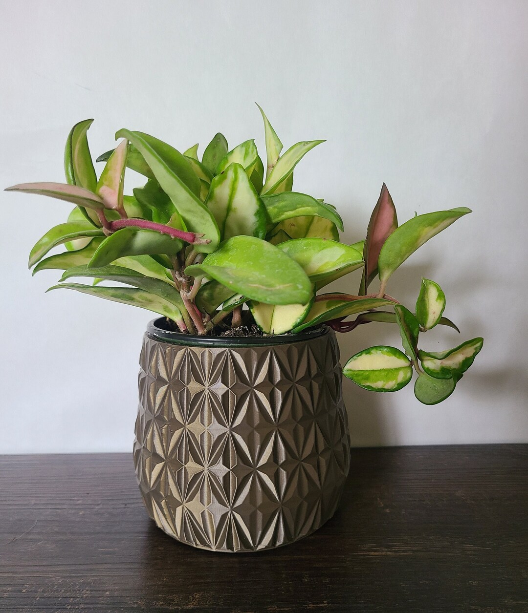 3D Printed Modern Geometric Plant Pot - Etsy