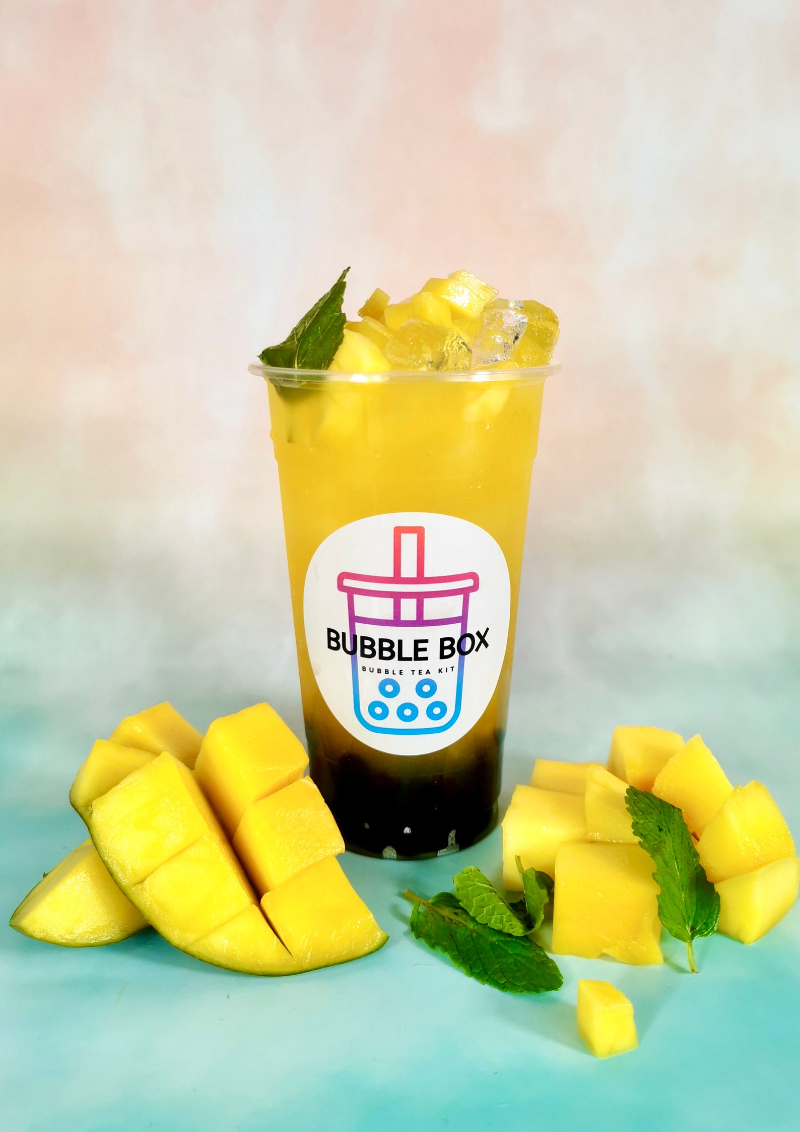 Bubble Tea Home DIY Kit by Bubble Box fruit Tea Set - Etsy