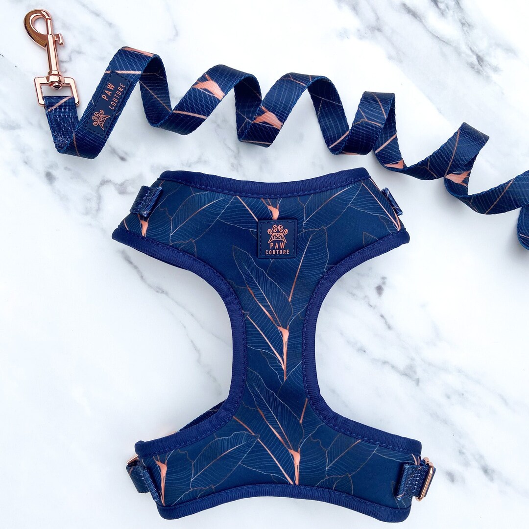 Midnight Palm Deluxe Adjustable Harness & Lead Bundle - Etsy