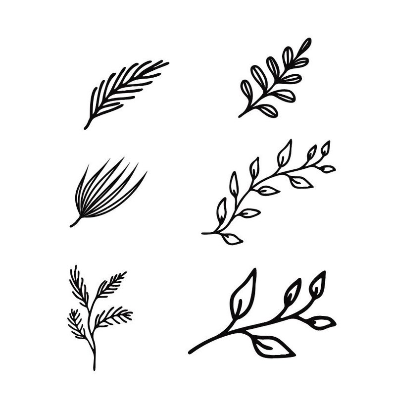 Feuilles assorties svg feuille svg branche svg plante - Etsy France