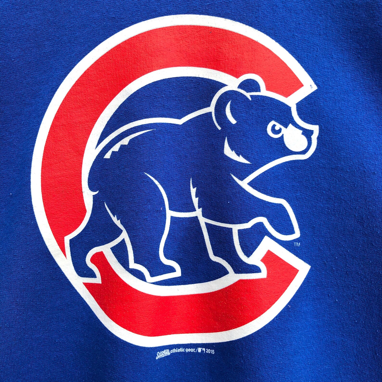 Chicago Cubs Illinois MLB MLBP Graphic Logo American Baseball | Etsy