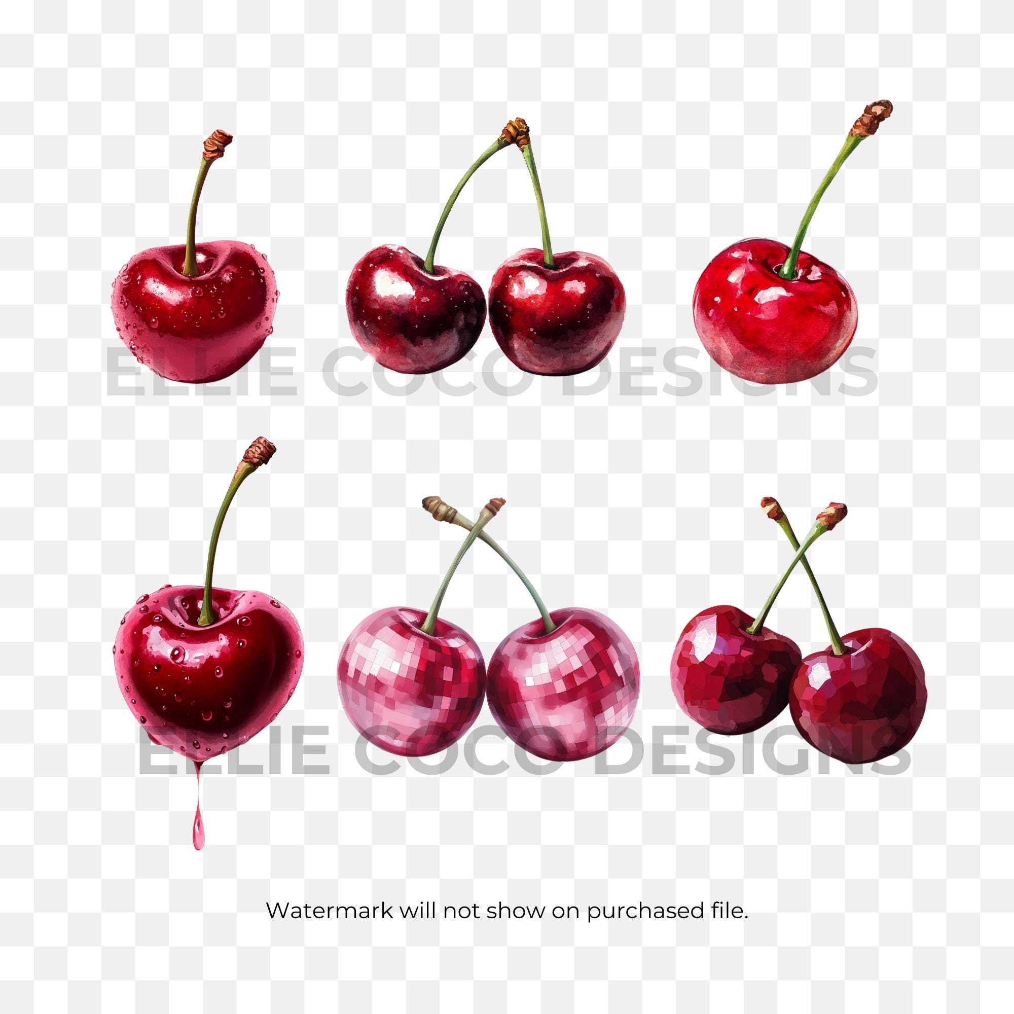 Cherry Clipart Bundle, Watercolor Cherry Png, Cherries, Transparent ...