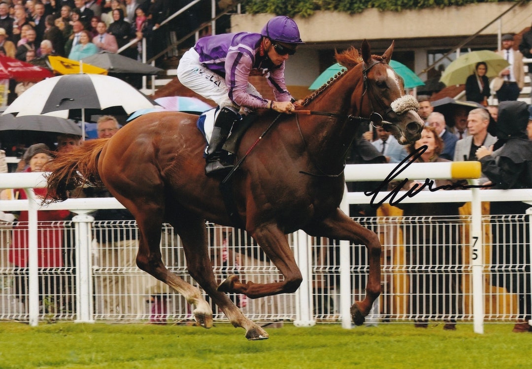 Horse Racing - Jason Watson - Hand Signed A4 Photograph - COA - Etsy