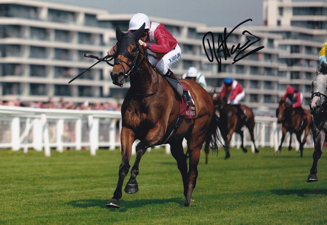 Horse Racing - Rab Havlin - Hand Signed A4 Photograph - COA - Etsy