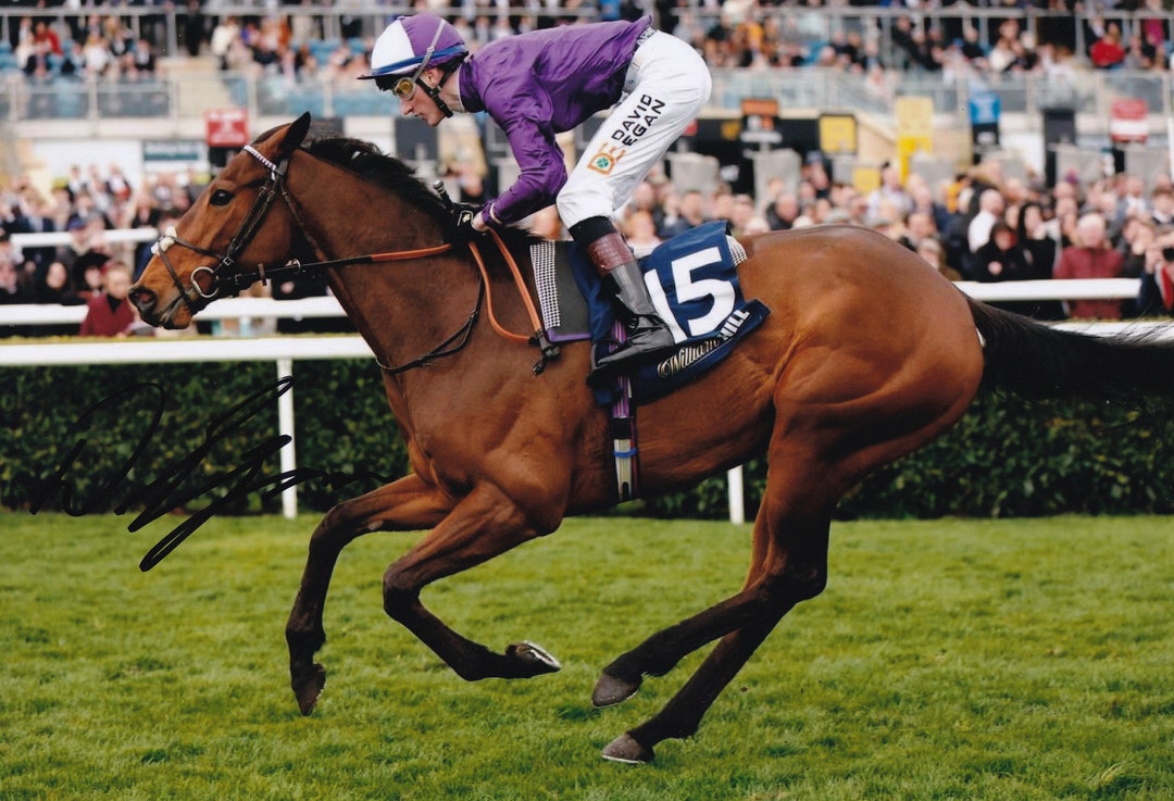Horse Racing - David Egan - Hand Signed A4 Photograph - COA - Etsy