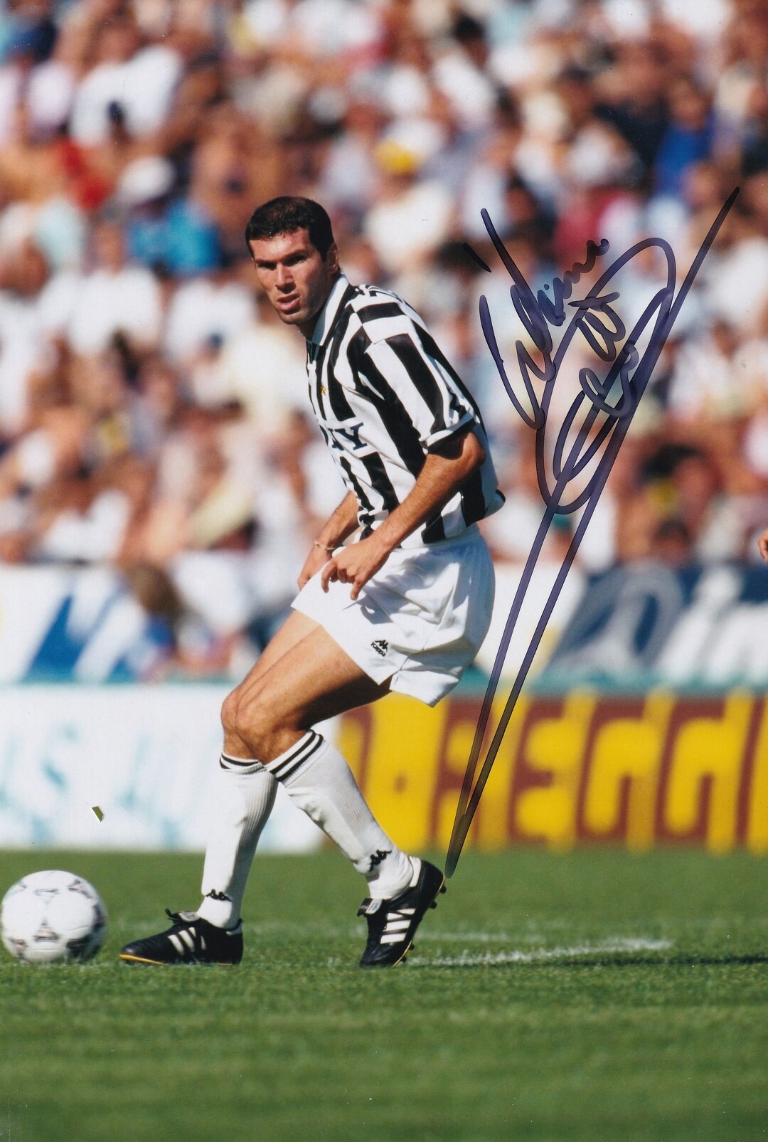 Football Zinedine Zidane Hand Signed 12x8 Inch Photograph - Etsy