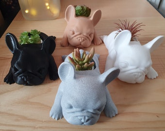 Dog planter | Etsy