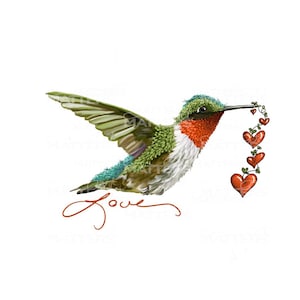 Hummingbird Love Hand Painted PNG Sublimation - Etsy