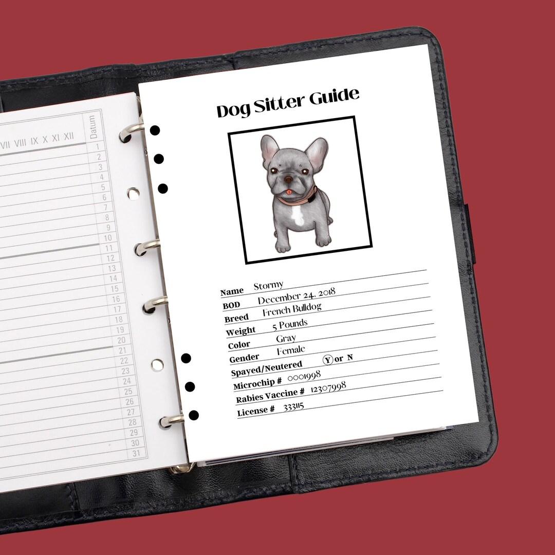 Dog Sitter Guide, Dog Sitting Care, Pet Sitting Guide, Pet Information ...