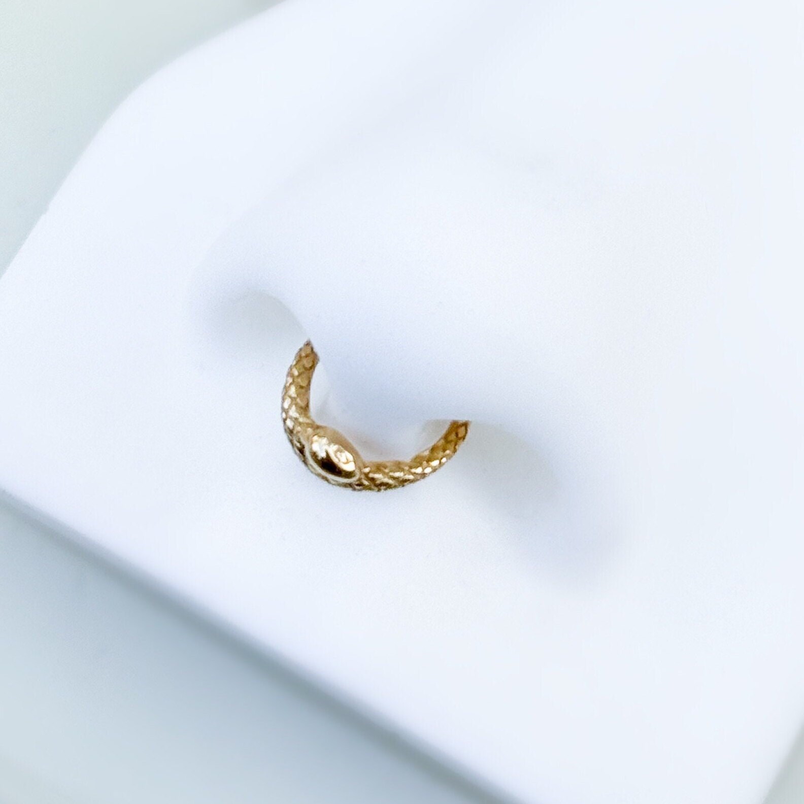 Gold Serpent Snake Clicker for Daith and Septum. 16G. 10mm or 8mm ...