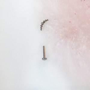 Titanium Beaded Curved Labret in Gold, Black, or Silver for Conch, Flat ...