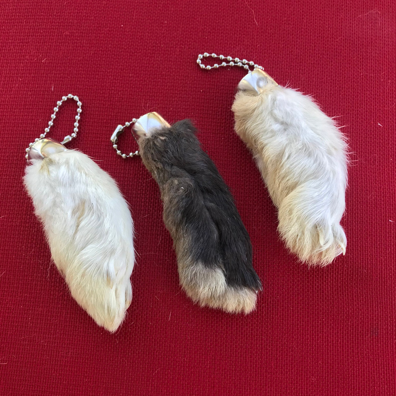 GENUINE Real Lucky Rabbit’s Foot Keychain Set of 3 - Etsy