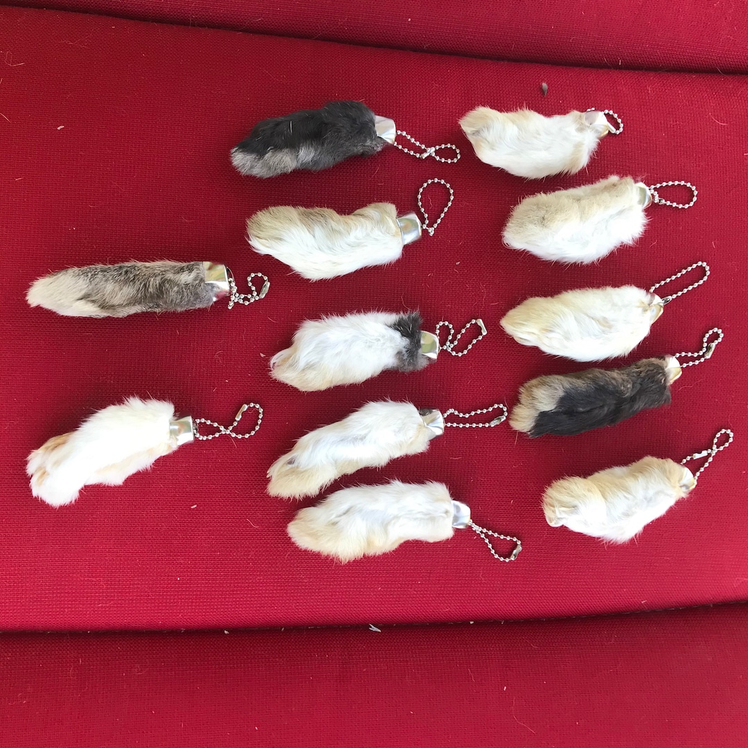 GENUINE Real Lucky Rabbit’s Foot Keychain Set of 12 - Etsy
