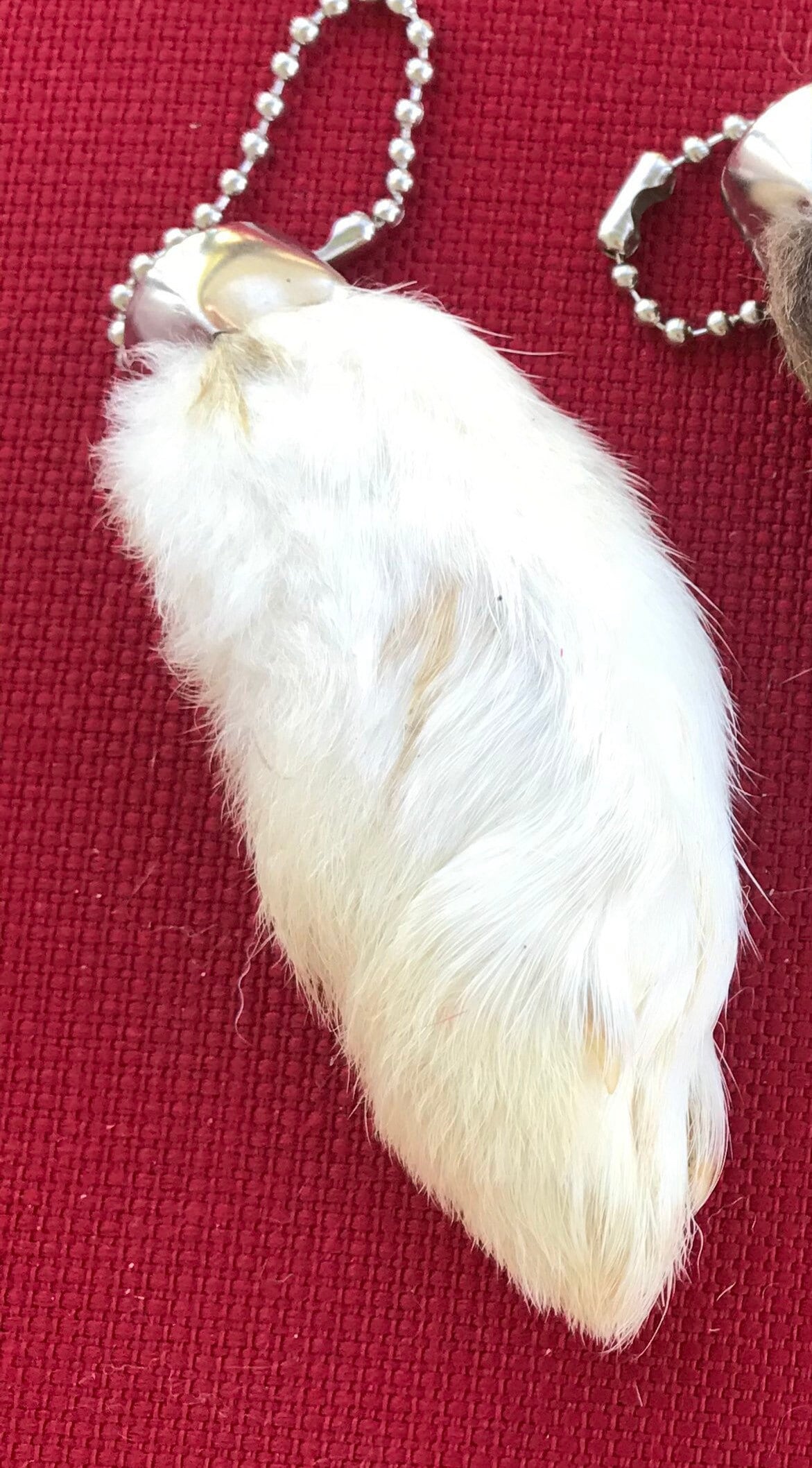 GENUINE One (1) Real Lucky Rabbit’s Foot Keychain - Etsy