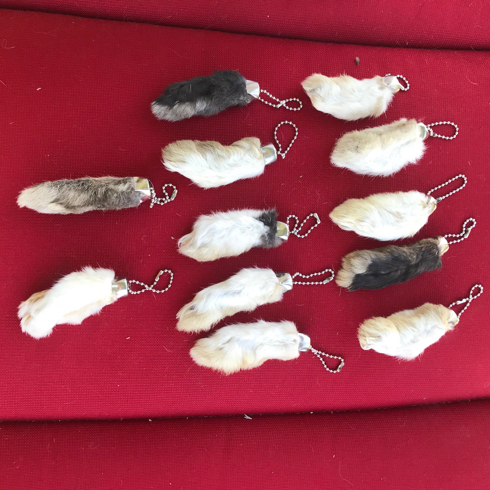 GENUINE Real Lucky Rabbit’s Foot Keychain Set of 12 - Etsy UK