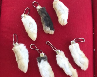 Lucky Rabbit's Foot Genuine Rabbit's Feet Key Chains Qty 2 Feet for ...