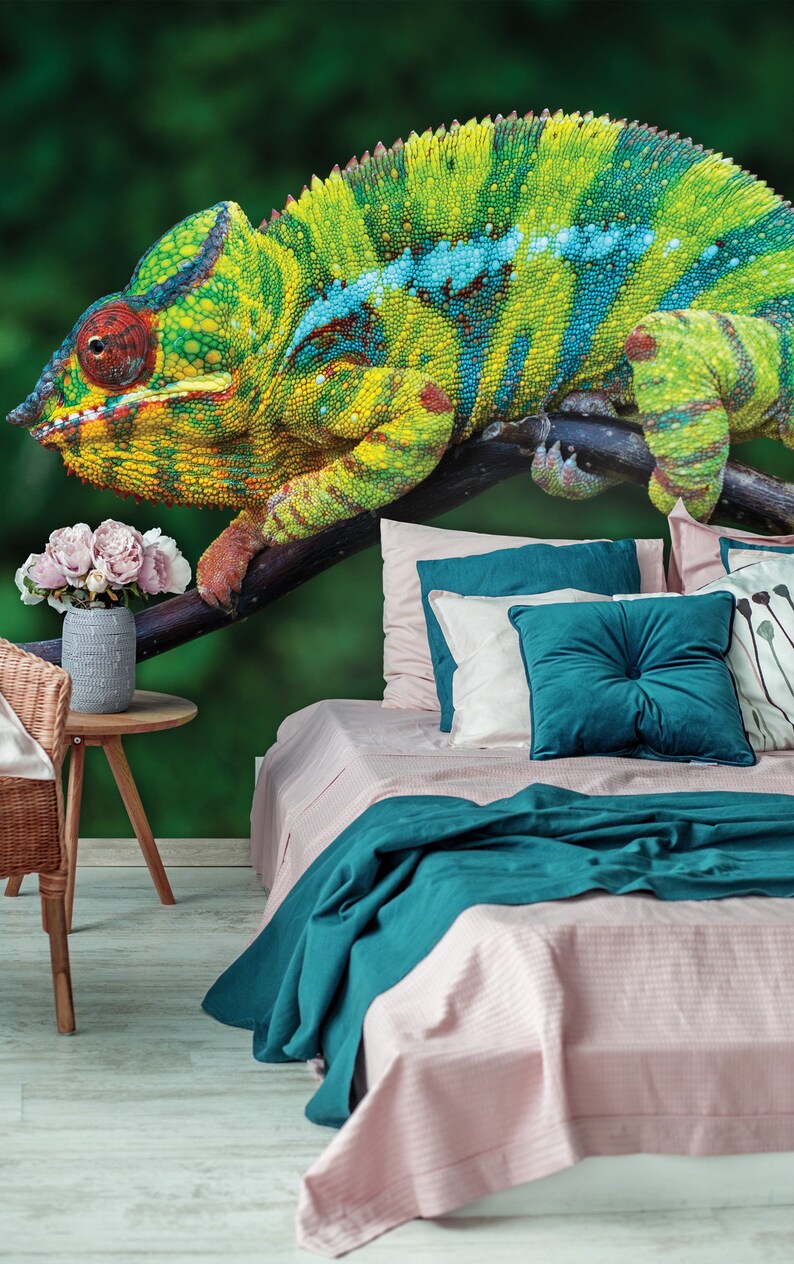 Chameleon From Madagascar Wallpaper wall Decor Peel and - Etsy