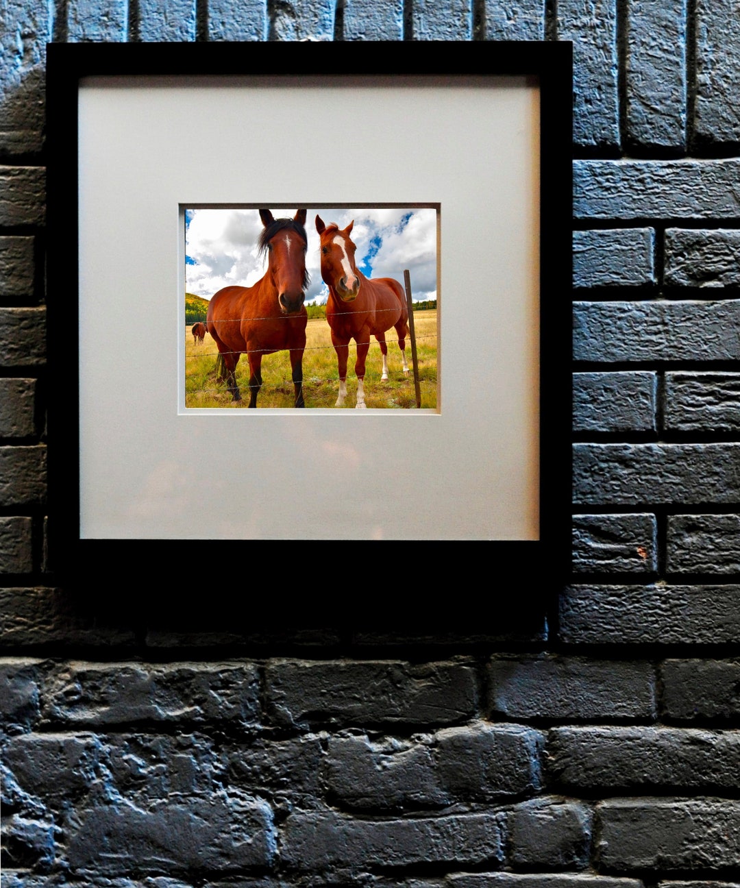 Horse Friends, Horse Photography, Digital Print, Printable Wall Art ...