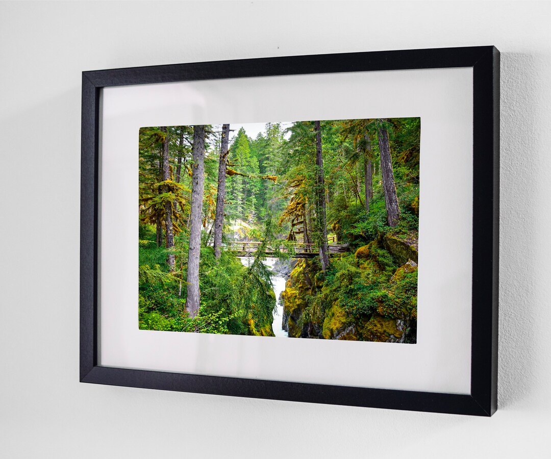 Mossy Forest Bridge Photography Print, Washington (digital Download) - Etsy