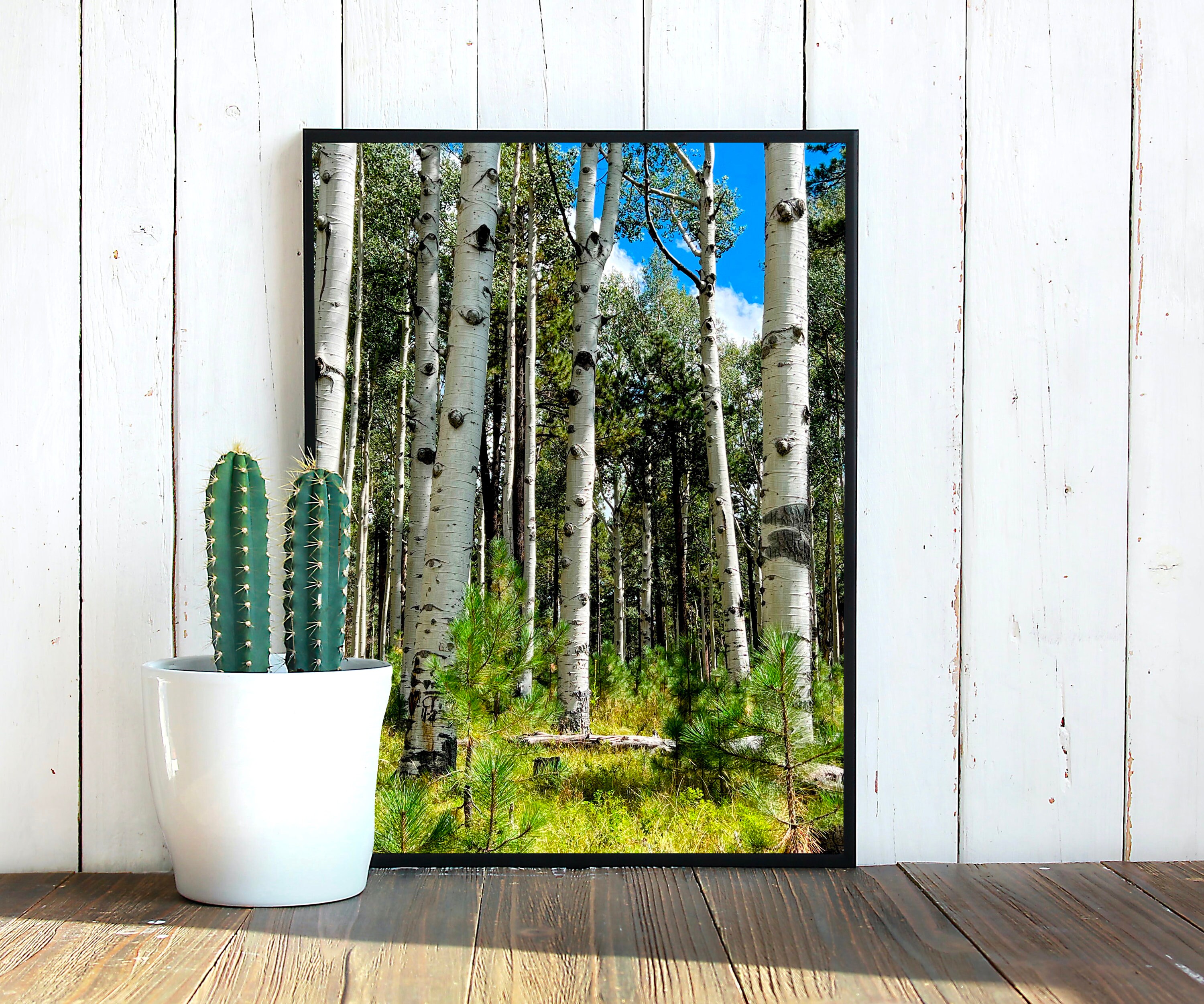 Aspen Forest, Digital Print, Printable Wall Art, Arizona Photography ...