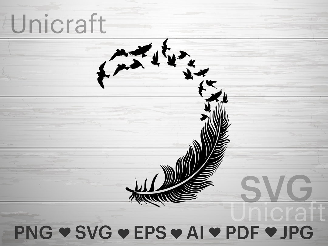 Bird Feather Svg, Birds Svg, Vector, Feather Silhouette, Clipart ...