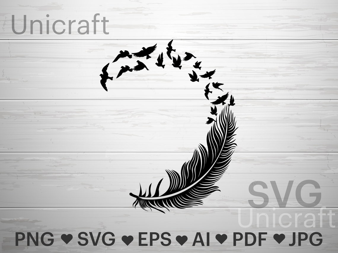 Bird Feather Svg, Birds Svg, Vector, Feather Silhouette, Clipart ...