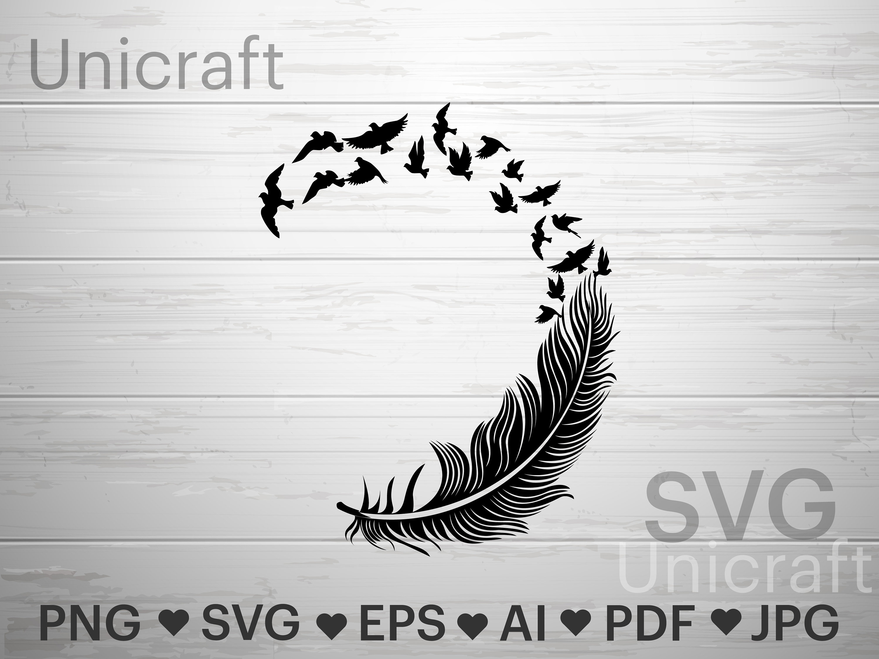 Bird Feather Svg, Birds Svg, Vector, Feather Silhouette, Clipart ...