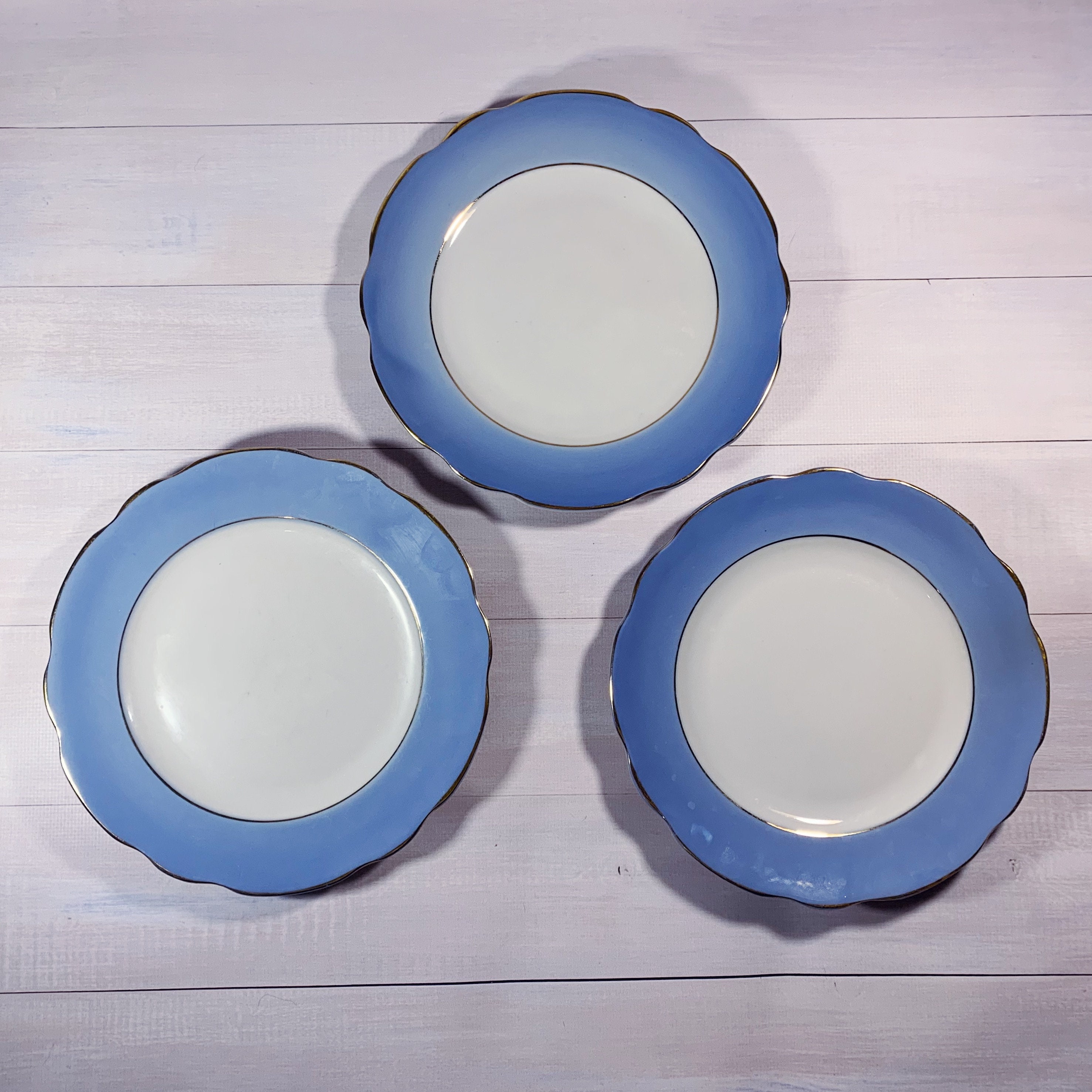 RARE Set of 3 Soviet Porcelain Plates 1960s Korosten Factory | Etsy