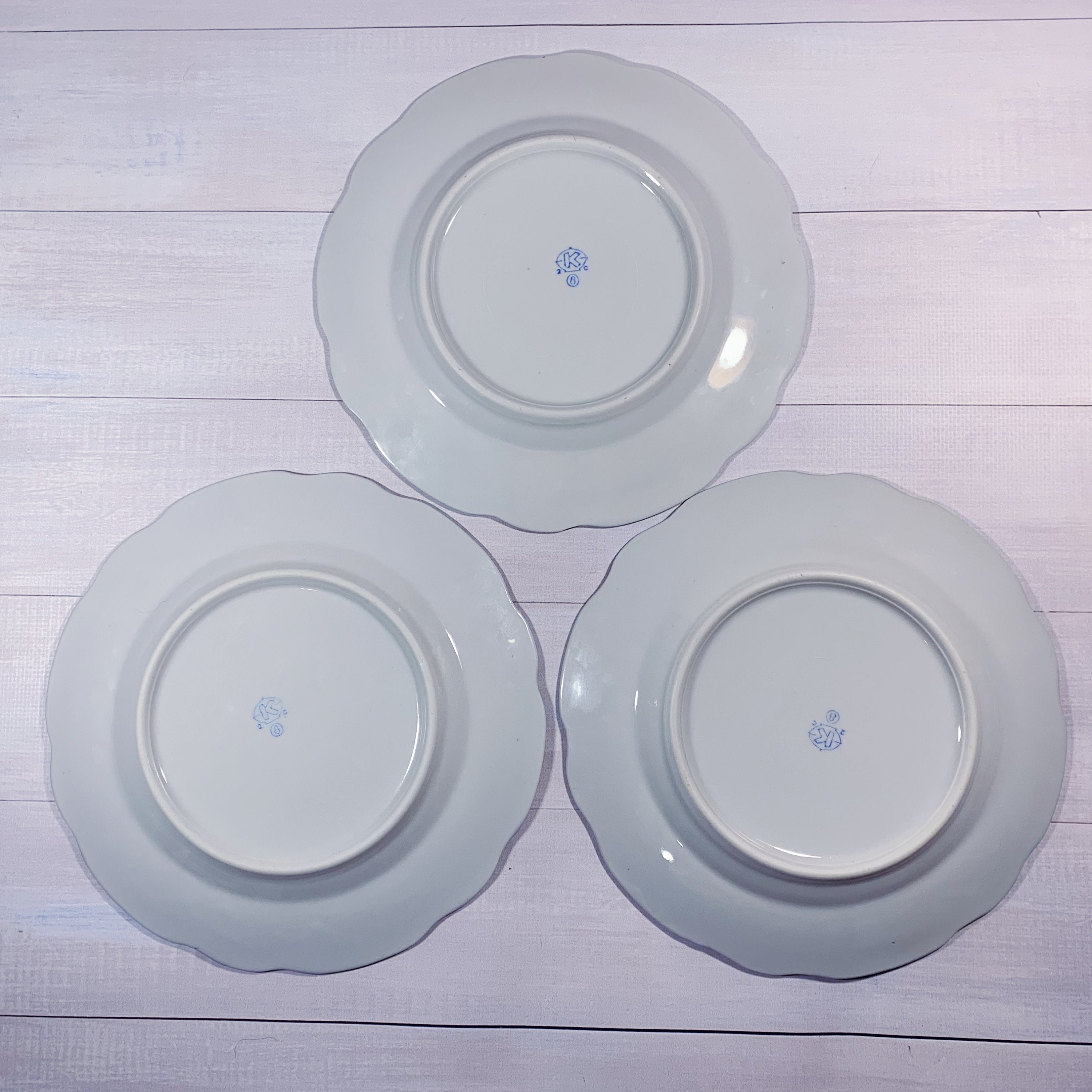 RARE Set of 3 Soviet Porcelain Plates 1960s Korosten Factory | Etsy