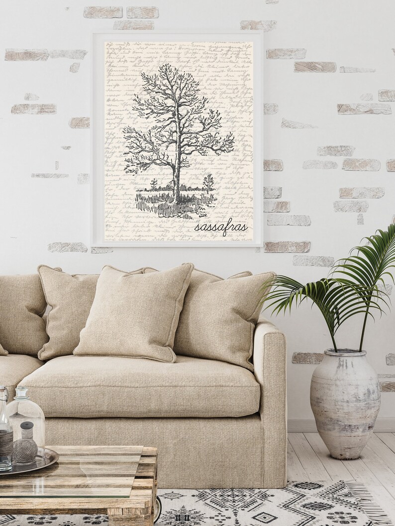 Sassafras Wall Art | Tree Wall Art | Botanical Print | Sassafras Poster ...