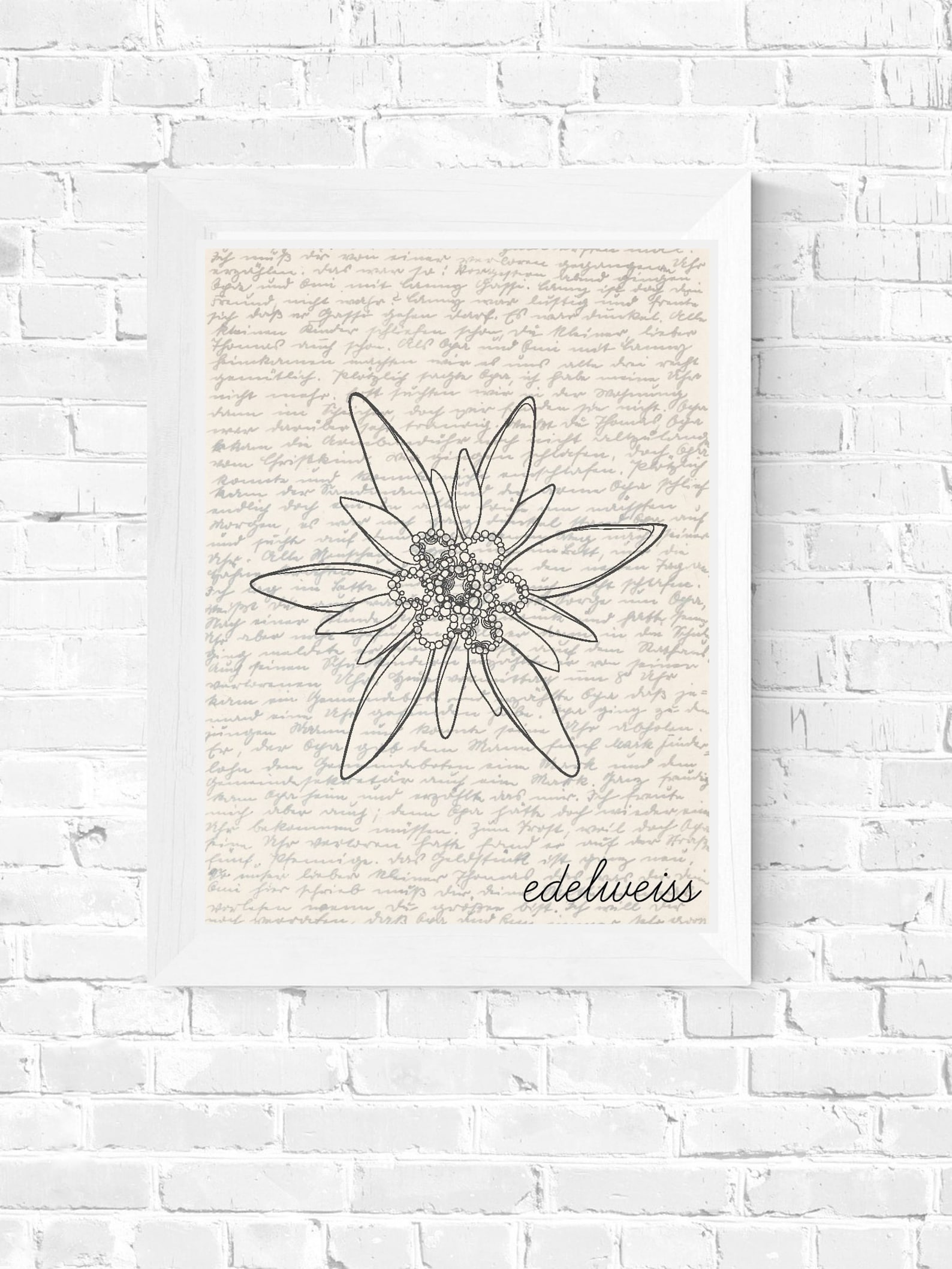 Edelweiss Wall Art | Floral Wall Art | Wildflower Print | Edelweiss ...