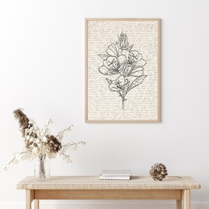 Evening Primrose Wall Art | February Birth Flower | Flower Illustration ...