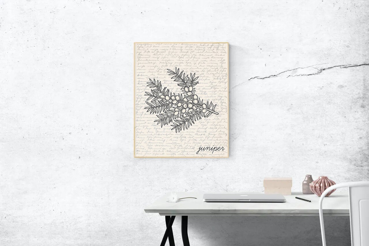 Juniper Wall Art Tree Wall Art Juniper Poster Juniper Print Tree ...