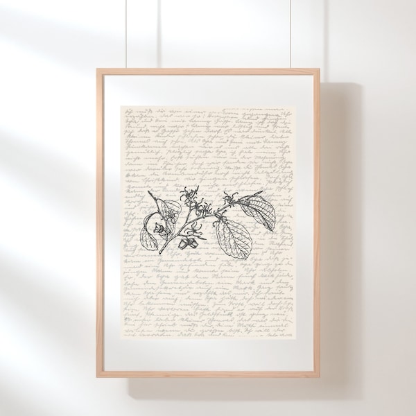 Hazel - Etsy
