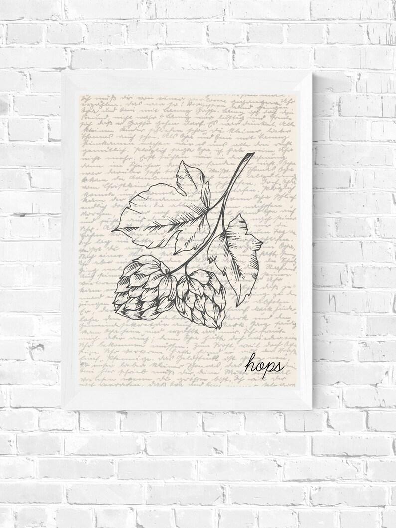 Hops Wall Art | Beer Wall Art | Hops Poster | Hops Print | Hops ...